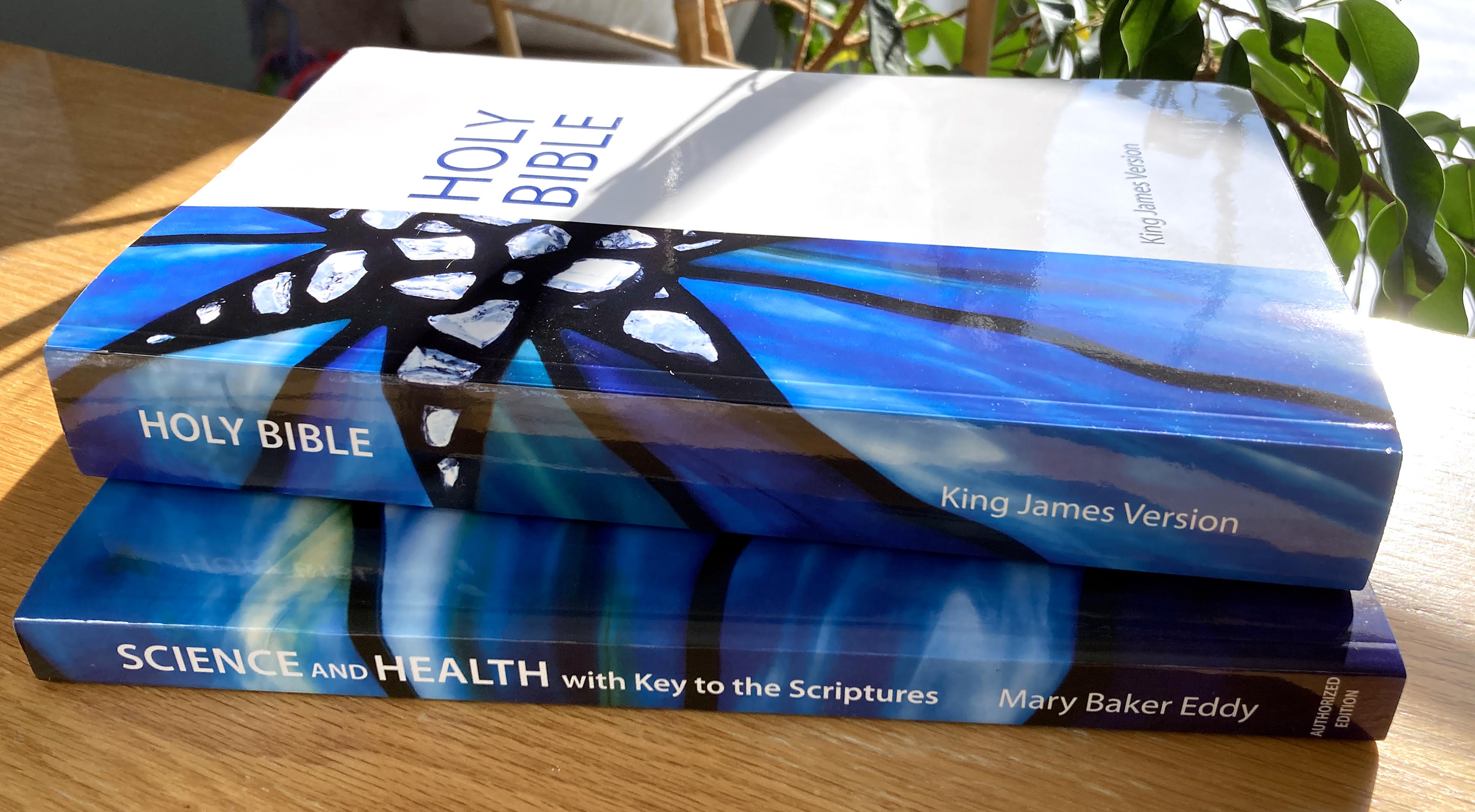 What We Do – Sharon House